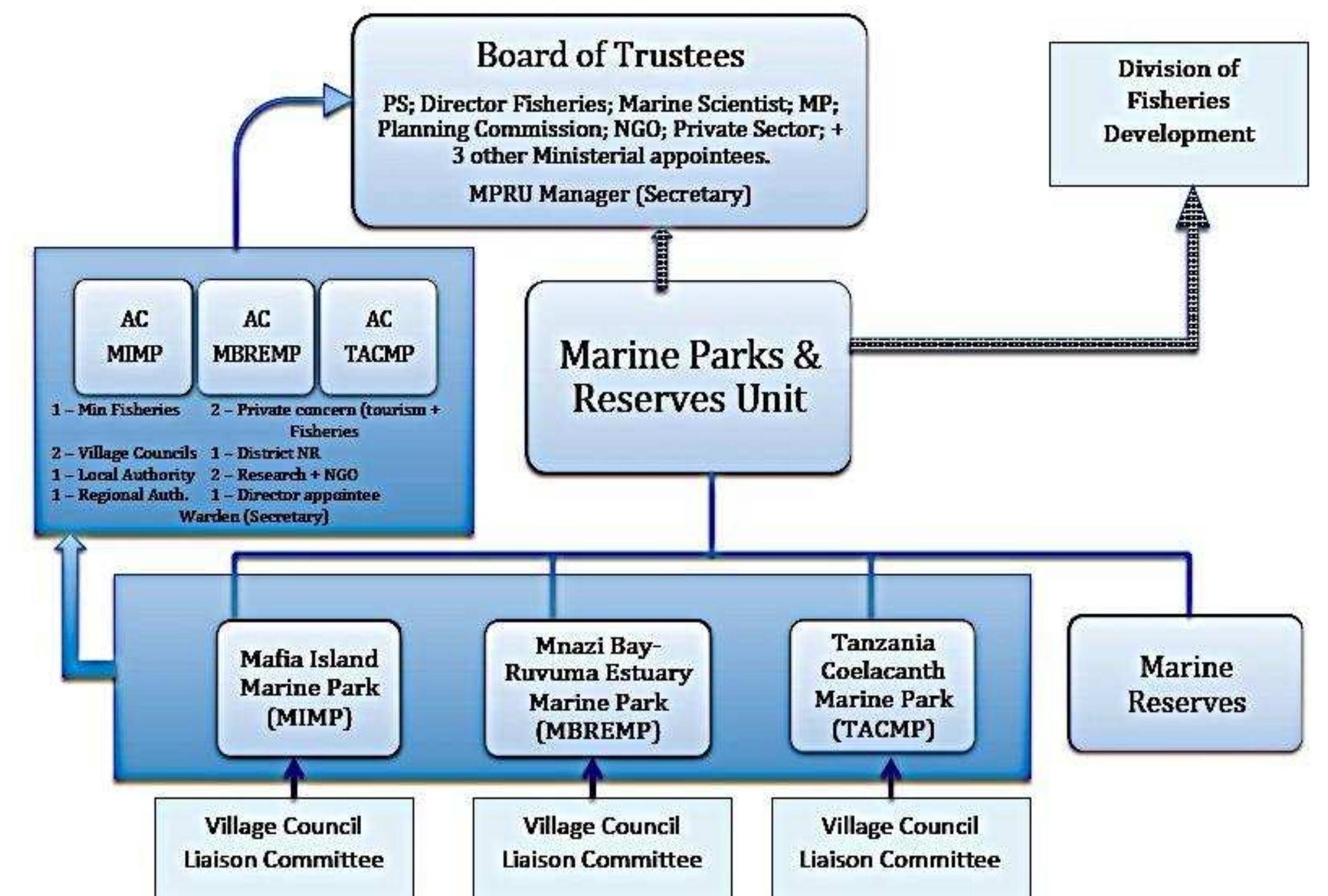 Organisational chart indicating dual lines of reporting for