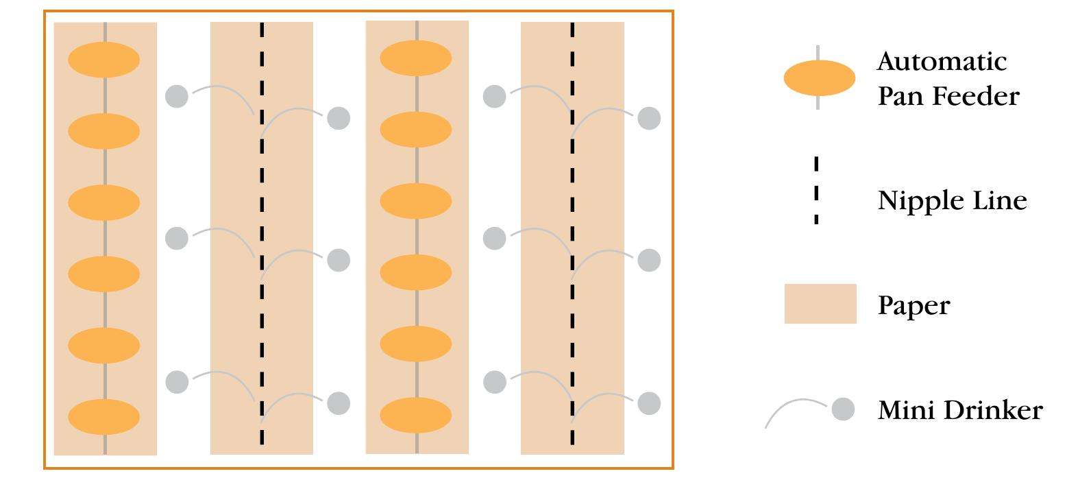 Typical layout of a whole-house brooding system