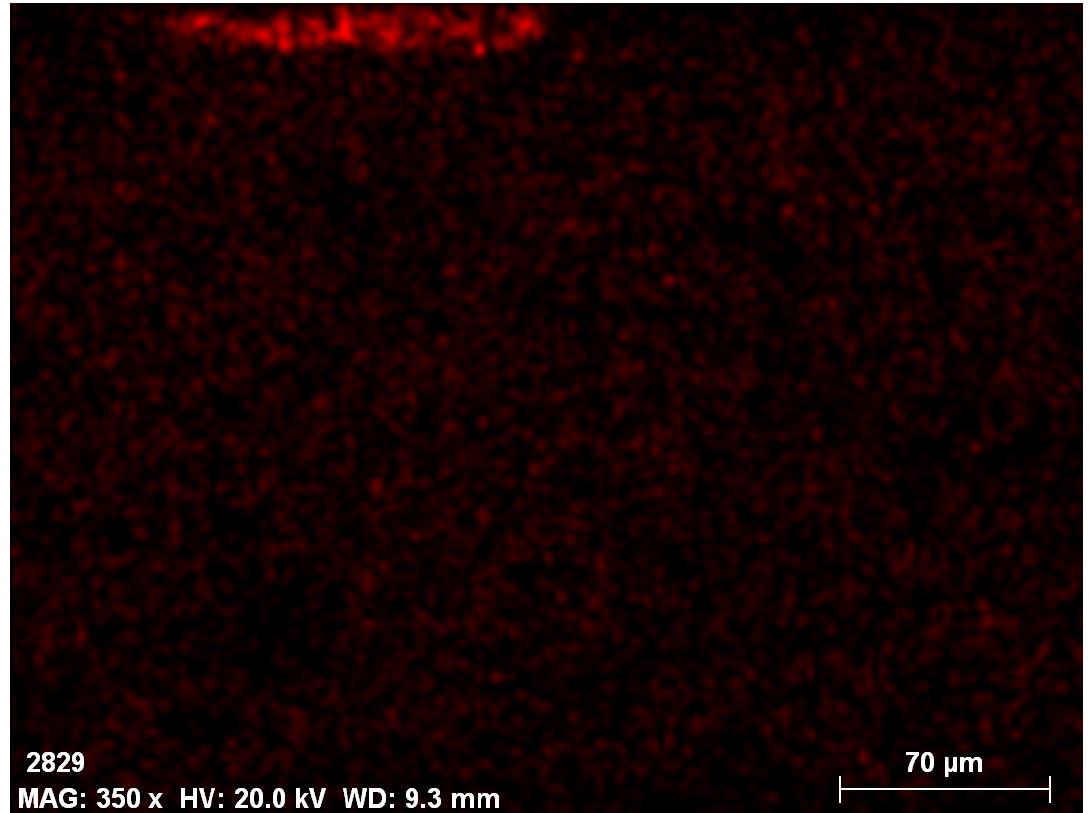 Sem-eds map of elemental analysis in painting ressurreigdo