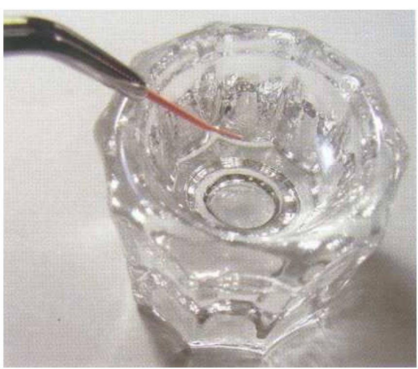 -14 adaptation of the master cone can be accom- plished by