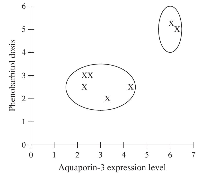Partition clustering. the k-means algorithm is one of the