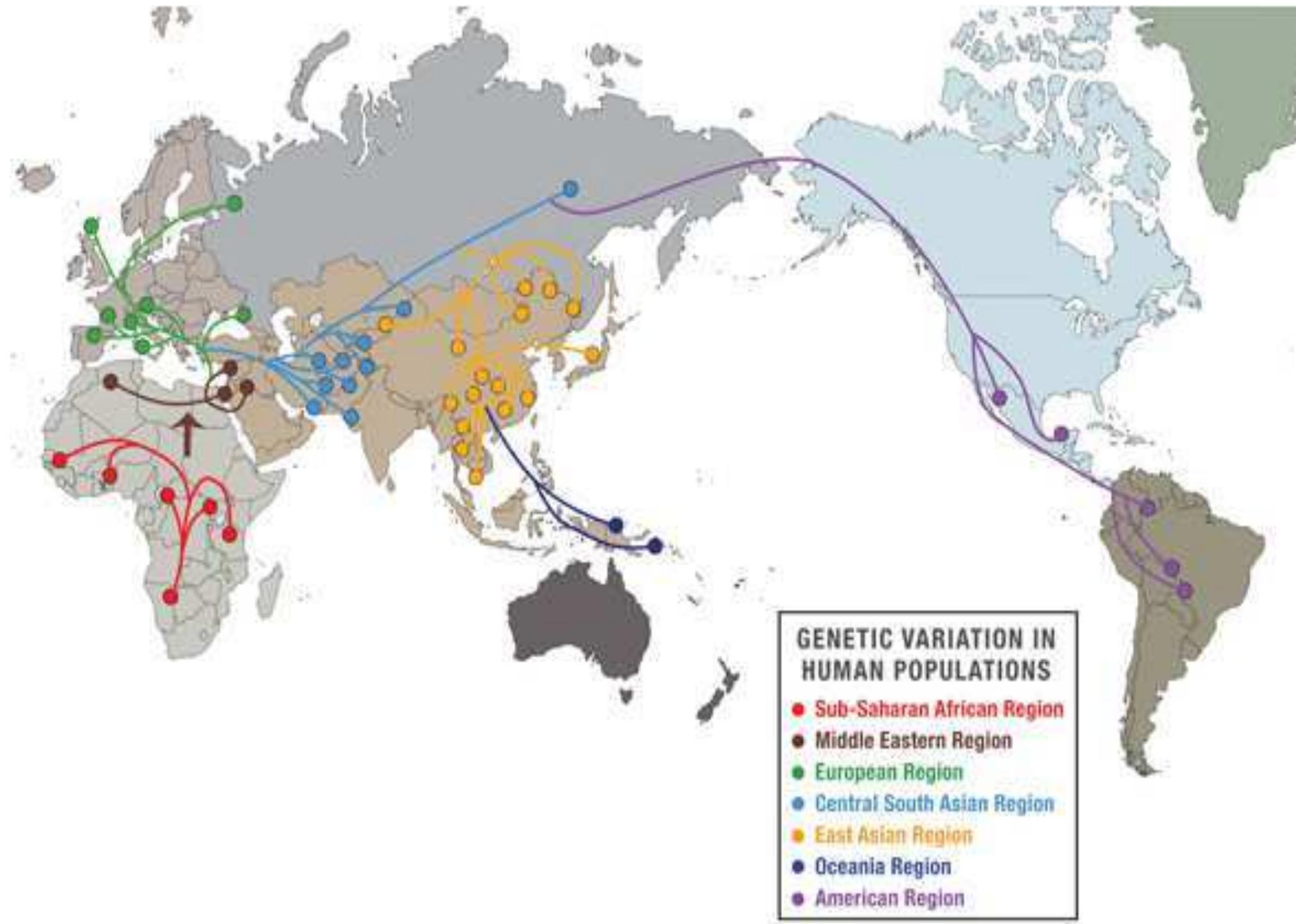Figure 5 - Genetic History of People of India