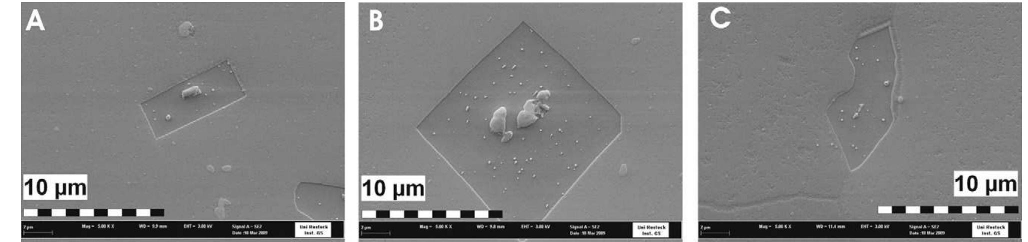 Bright-field sem images of mg>si precipitates (dark in