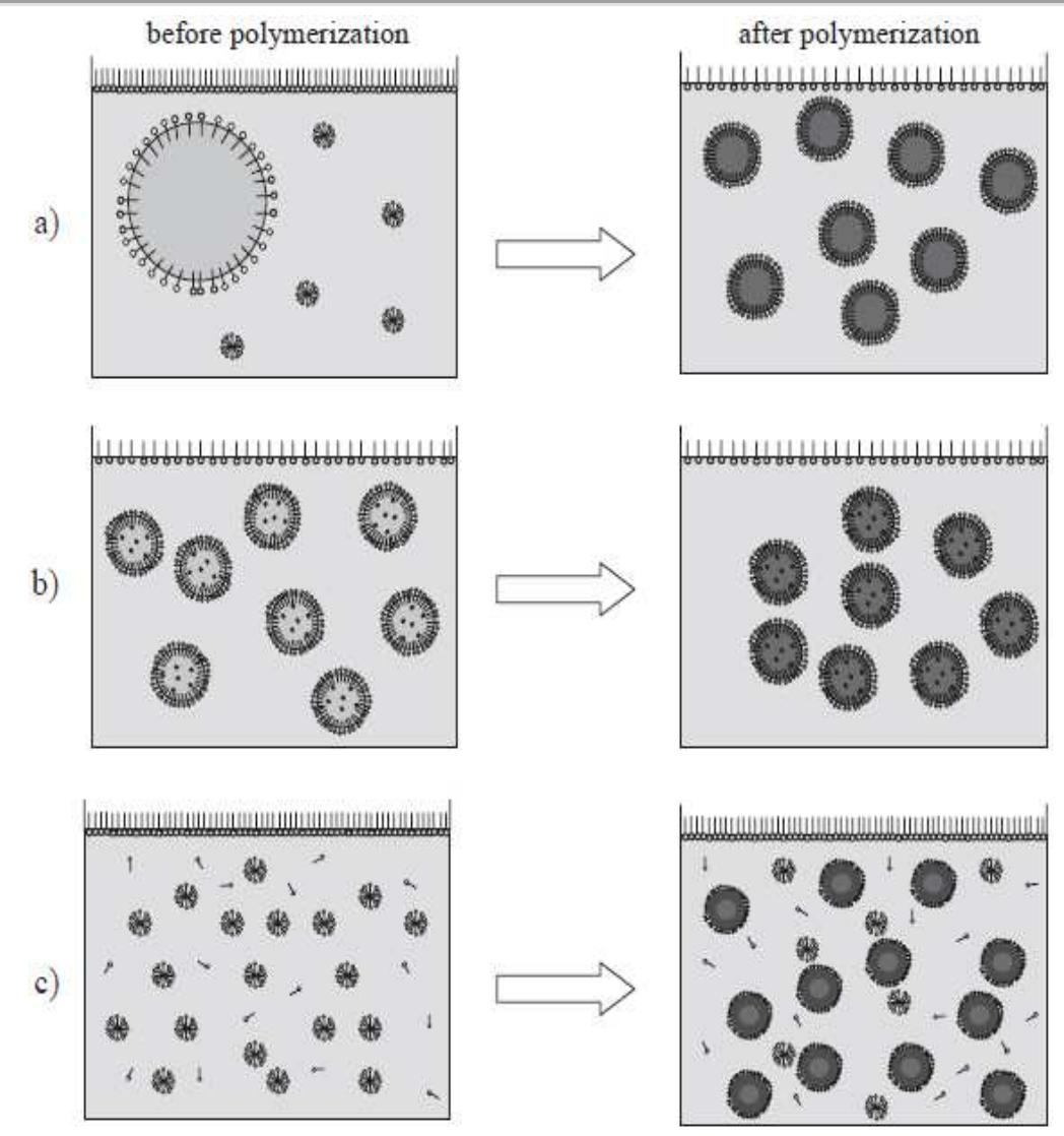 Schematic representation of heterophase polymerization