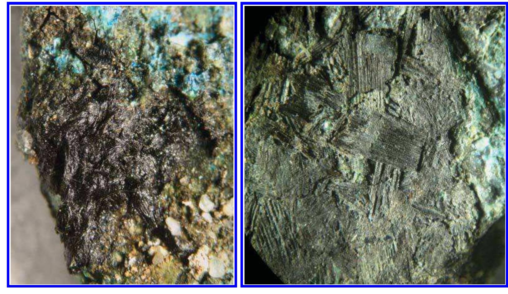 Bamburgh castle: styca showing carbonised plant material