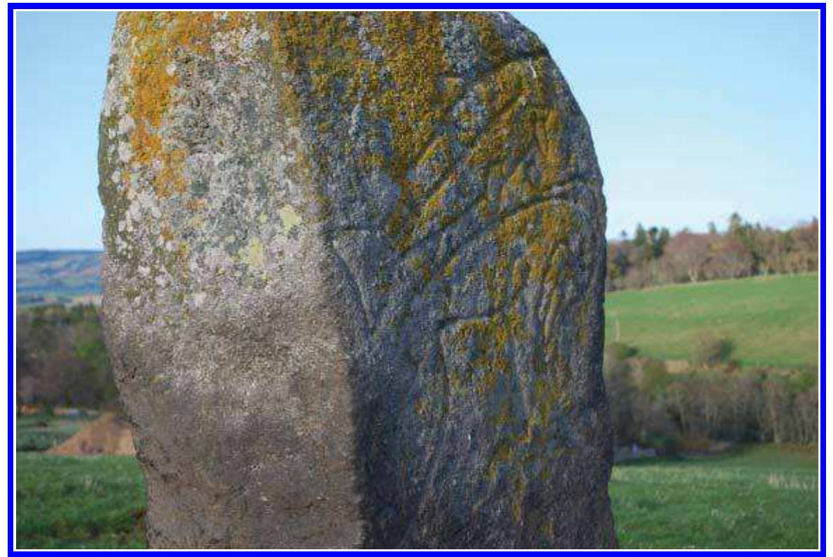 Four separate lines of enclosure surround the site of the