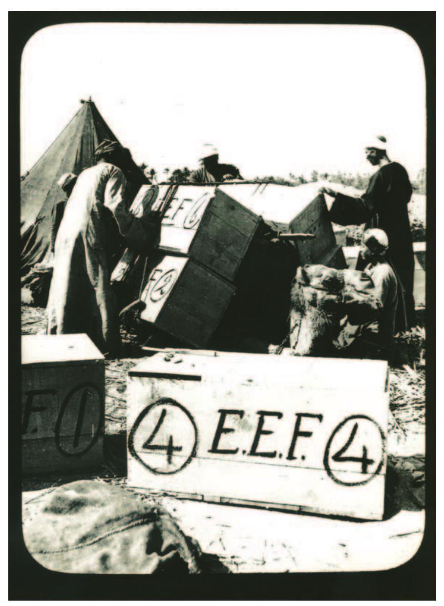 Packing crates of finds from the excavations directed by