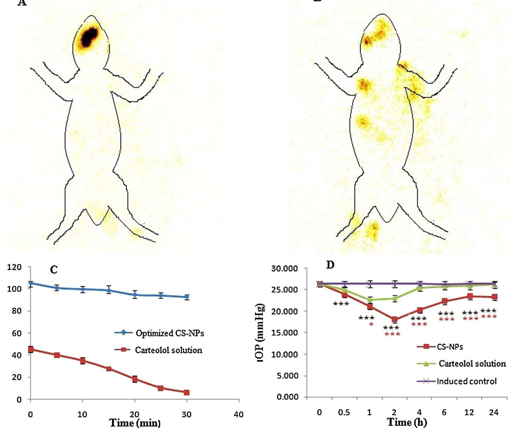 Gamma scintigraphic static whole-body images after 6 h of