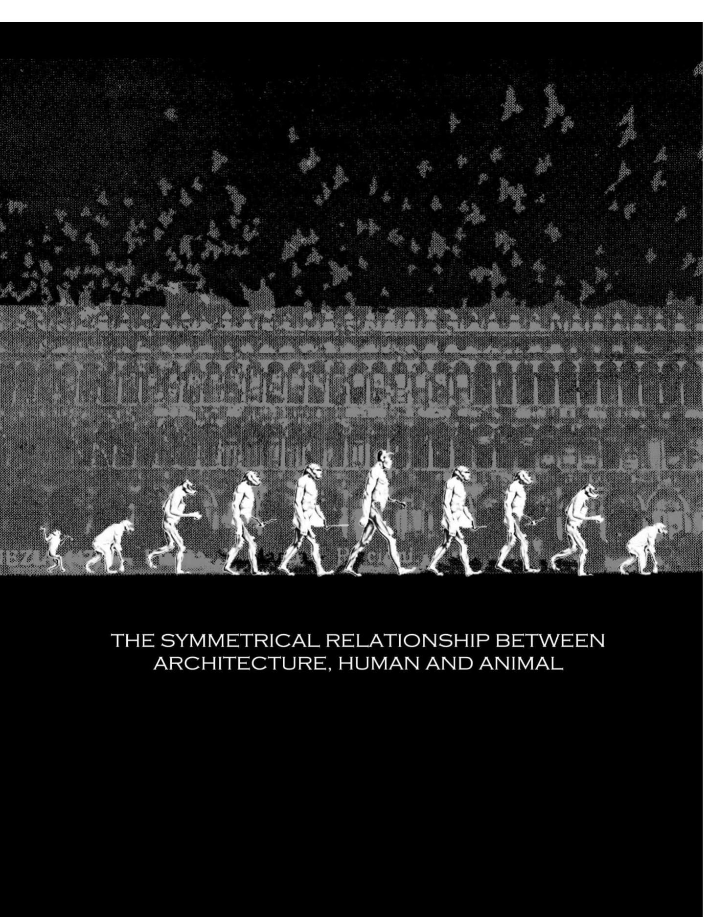 Figure 1 - The Symmetrical Relationship between