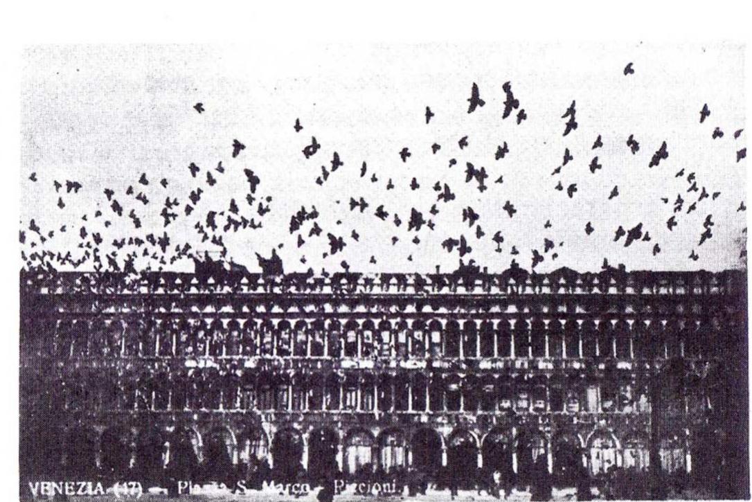 Le corbusier, the city of tomorrow: the birds, captured in