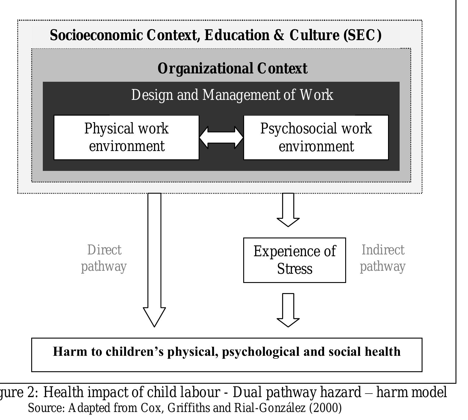 Health impact of child labour: dual pathway hazard-harm