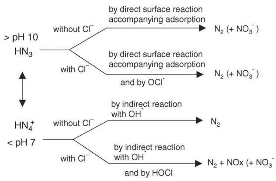 Schematic overview of the destruction pathway of the ammonia
