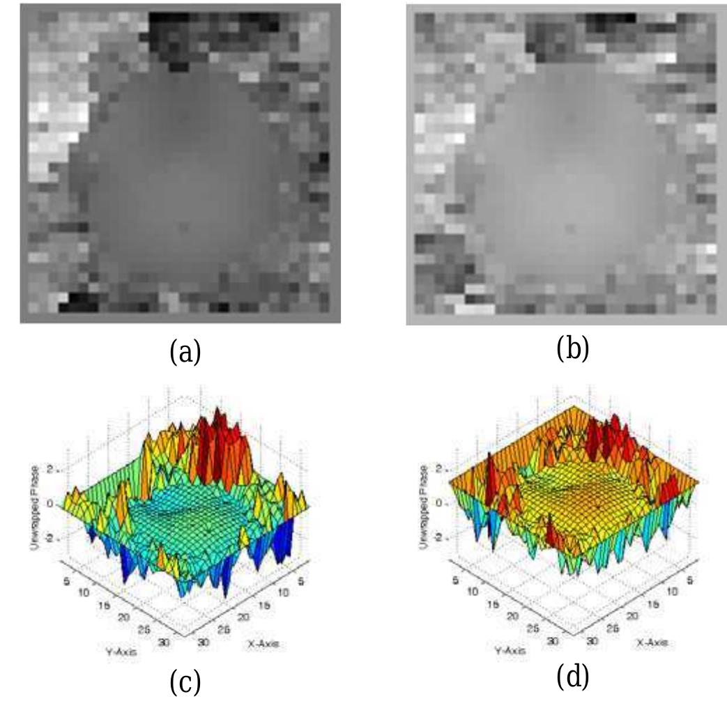 The brain mri unwrapping phase images (red denotes the