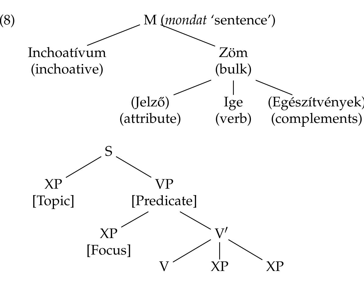 Constituency or dependency? notes on s. brassai’s syntactic