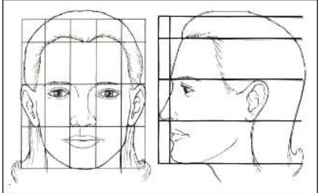 [his line drawing illustrates the "rule of fifths" and the