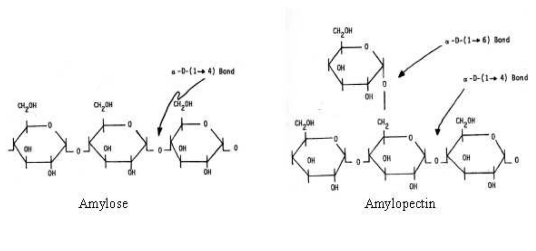 Both of these components of starch are insoluble in water,