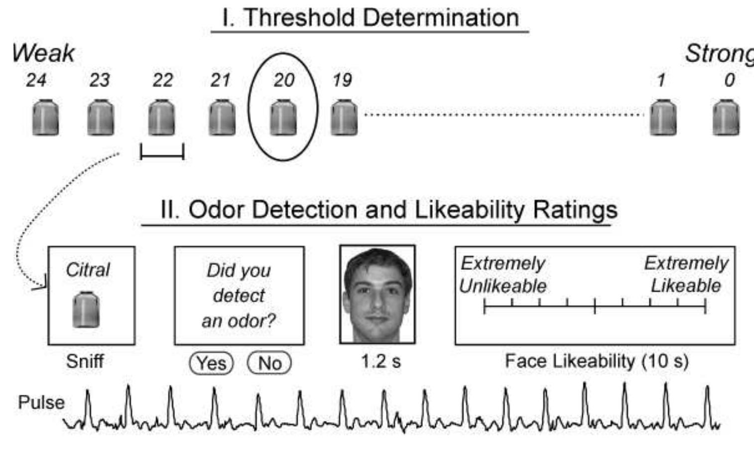 The experimental paradigm. first, participant-specific