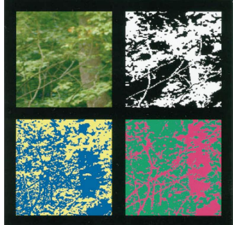 Statistical structure of color images, from ruder- man et al