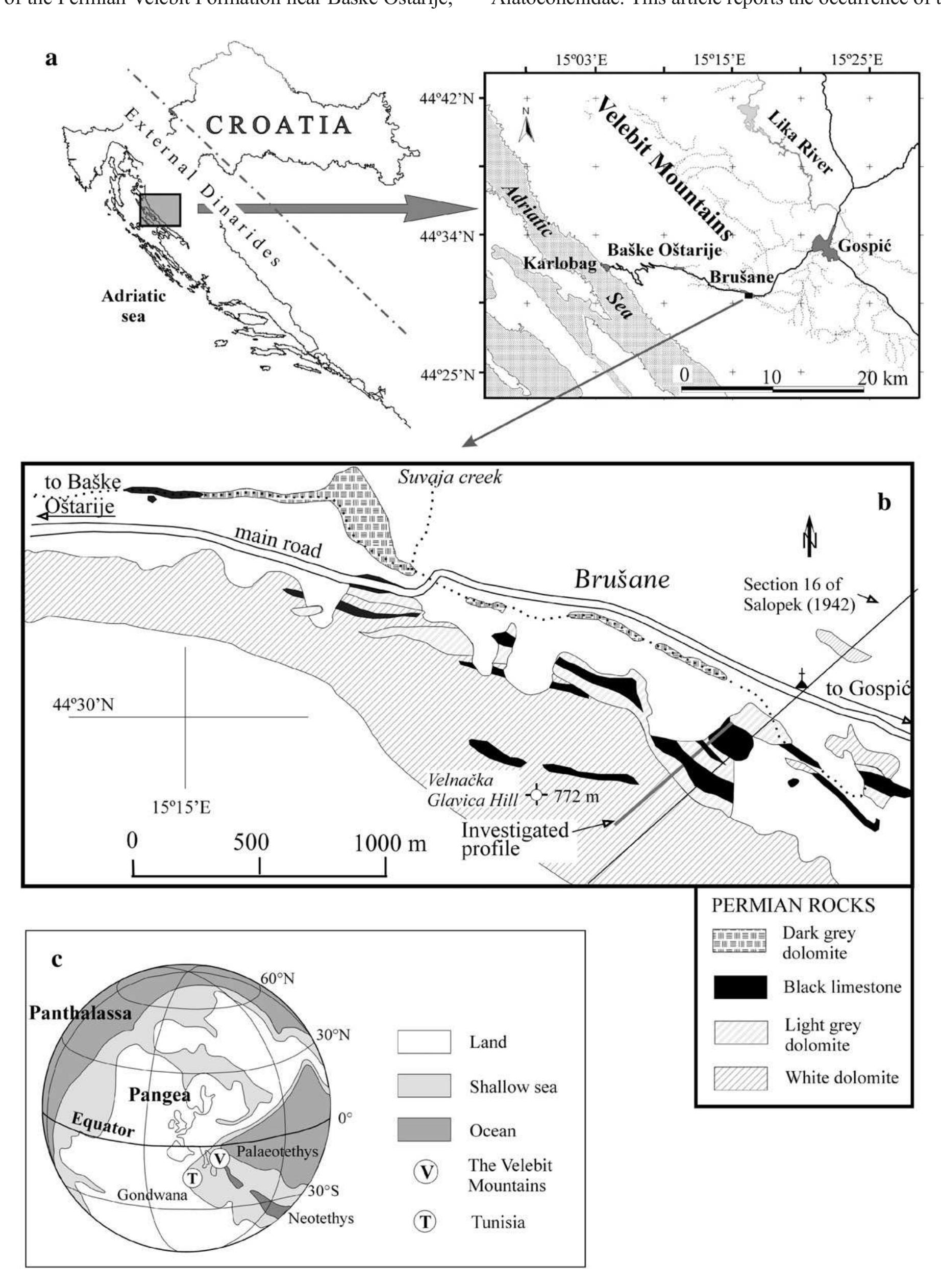 Index map (a) and geologic map of the brusane area (b)