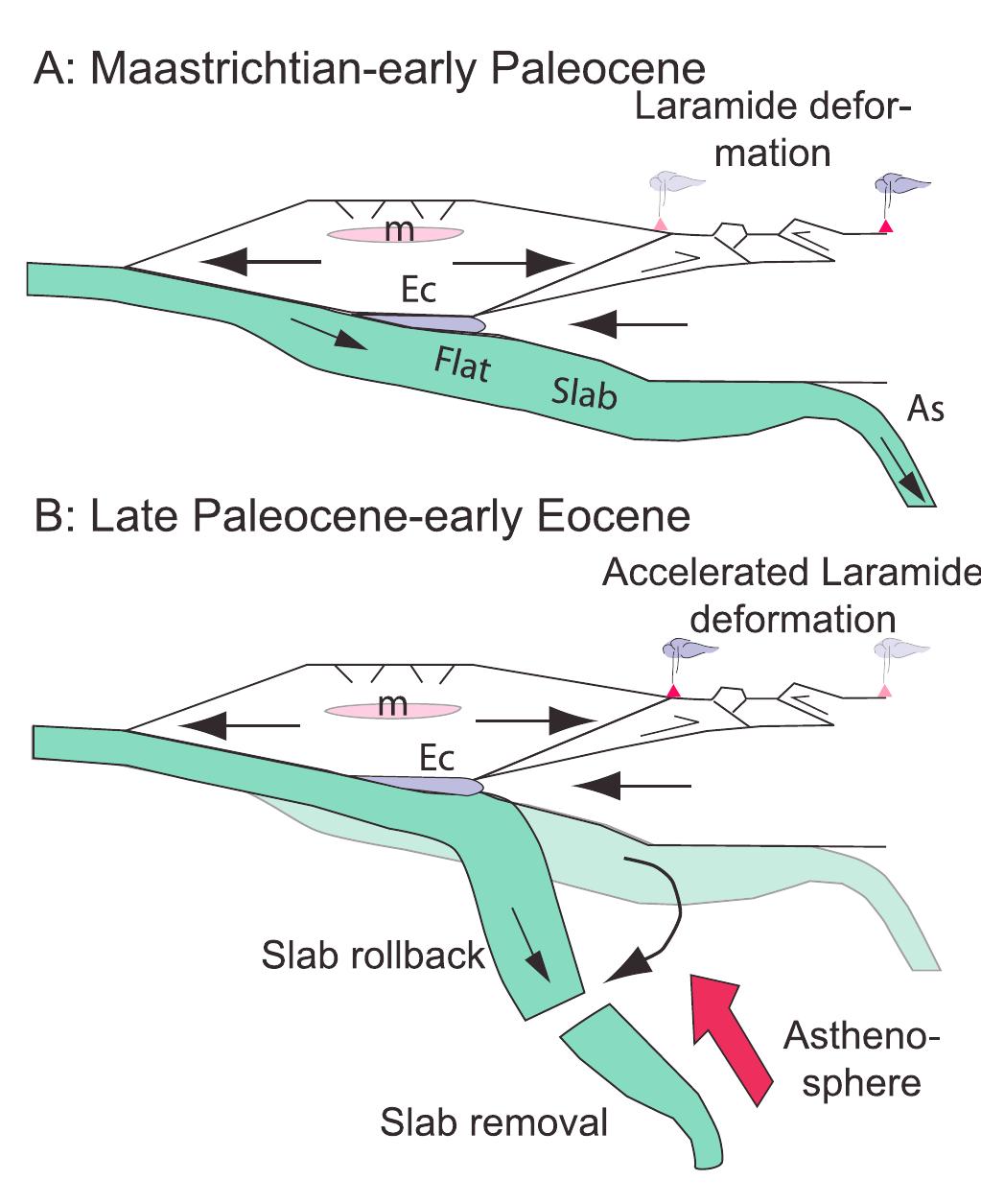 Schematic cross sections illustrating the principal mechan-