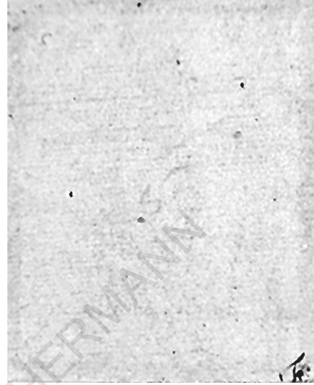 Image in infrared reflectography of fig.9, showing the