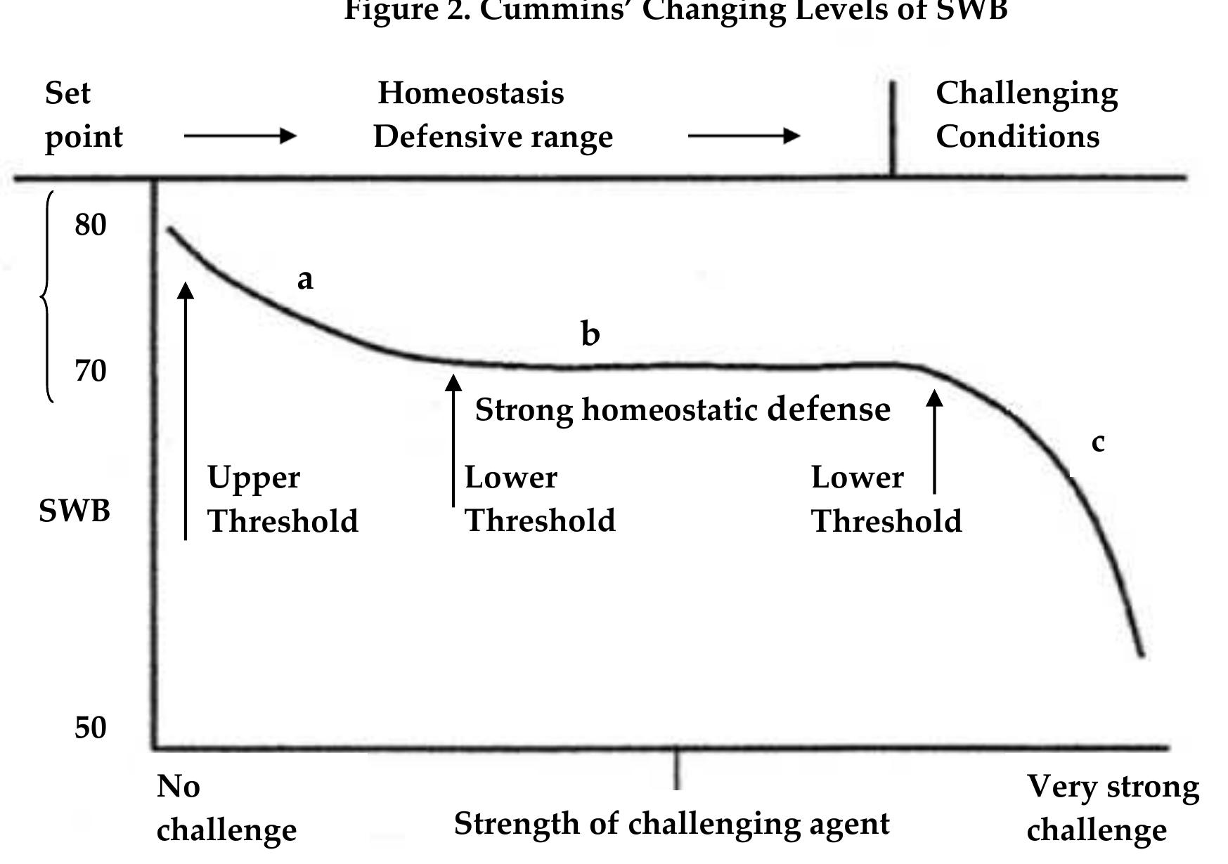 (PDF) The Challenge of Defining Wellbeing