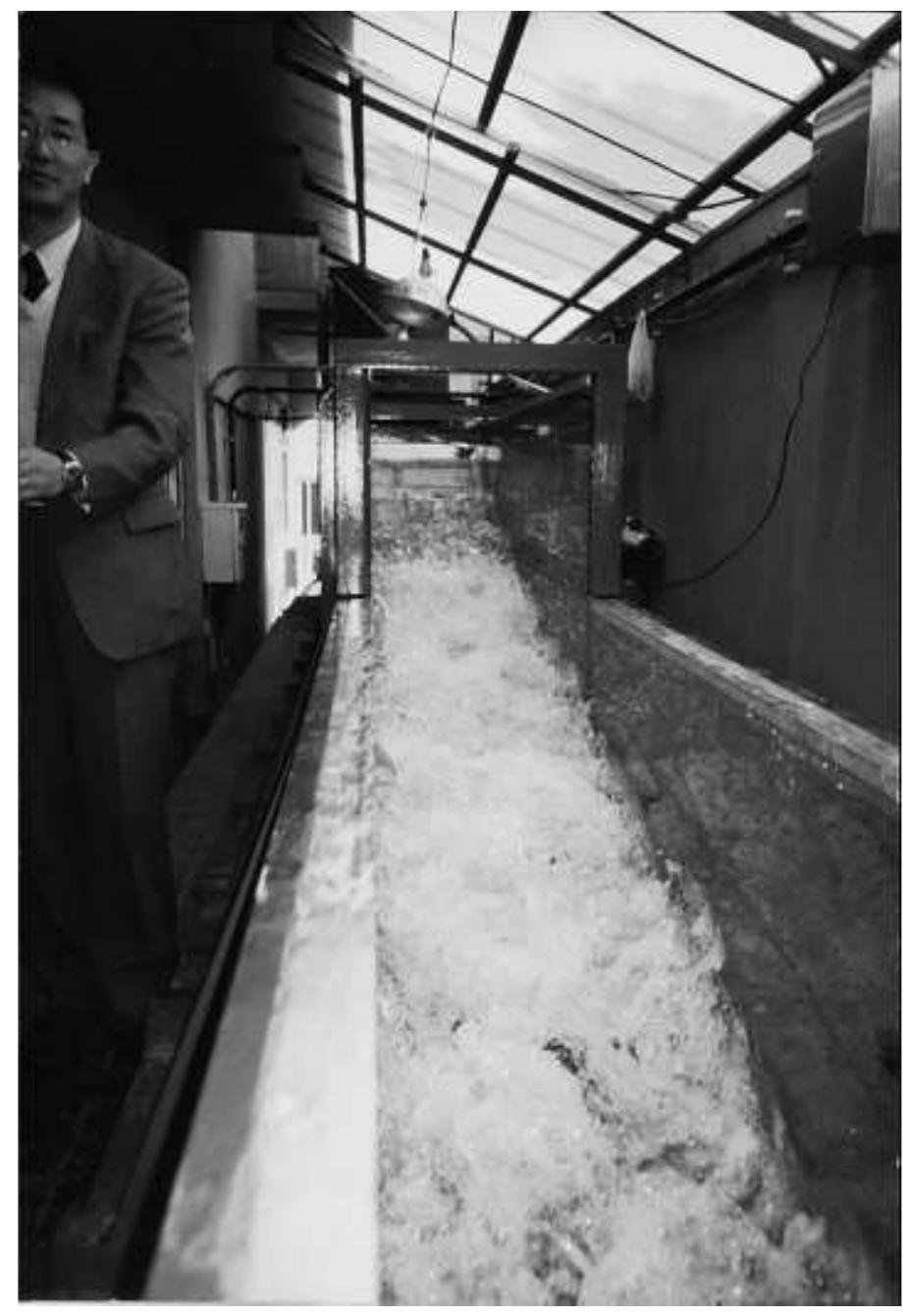 Photograph of chute flow in operation. stepped chute flow, q