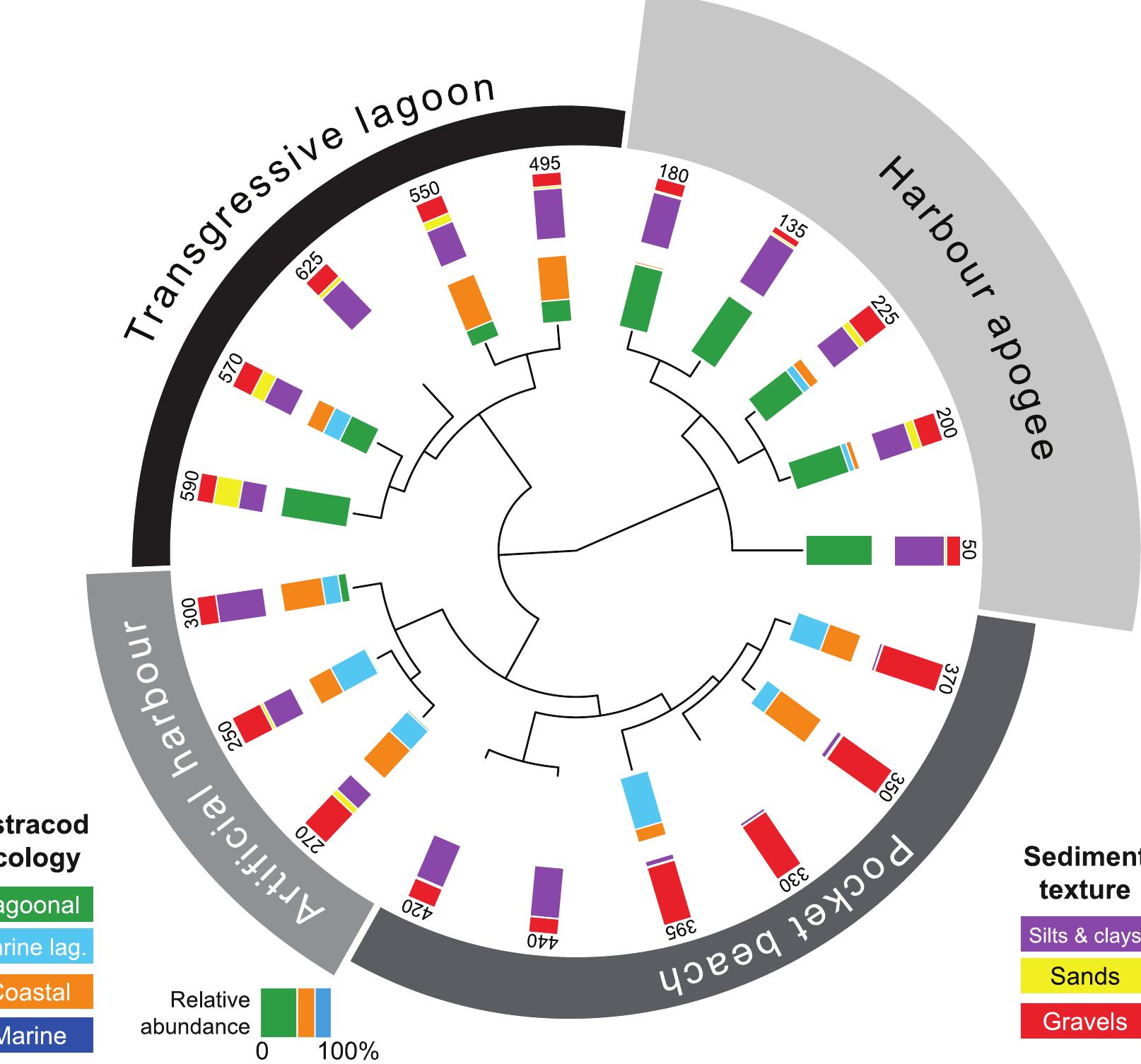 | radial dendrogram of the litho- and biostratigrphic data