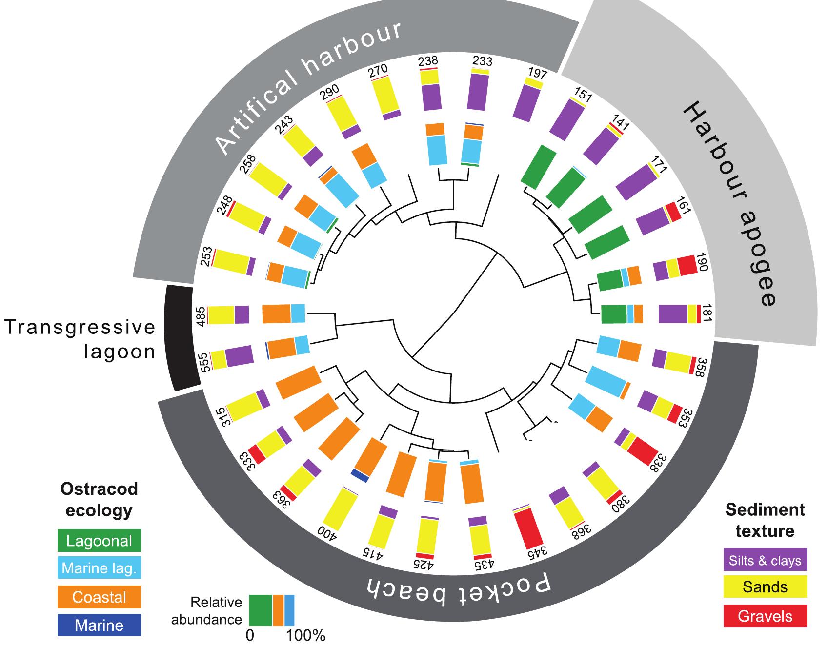 | radial dendrogram of the litho- and biostratigraphic data
