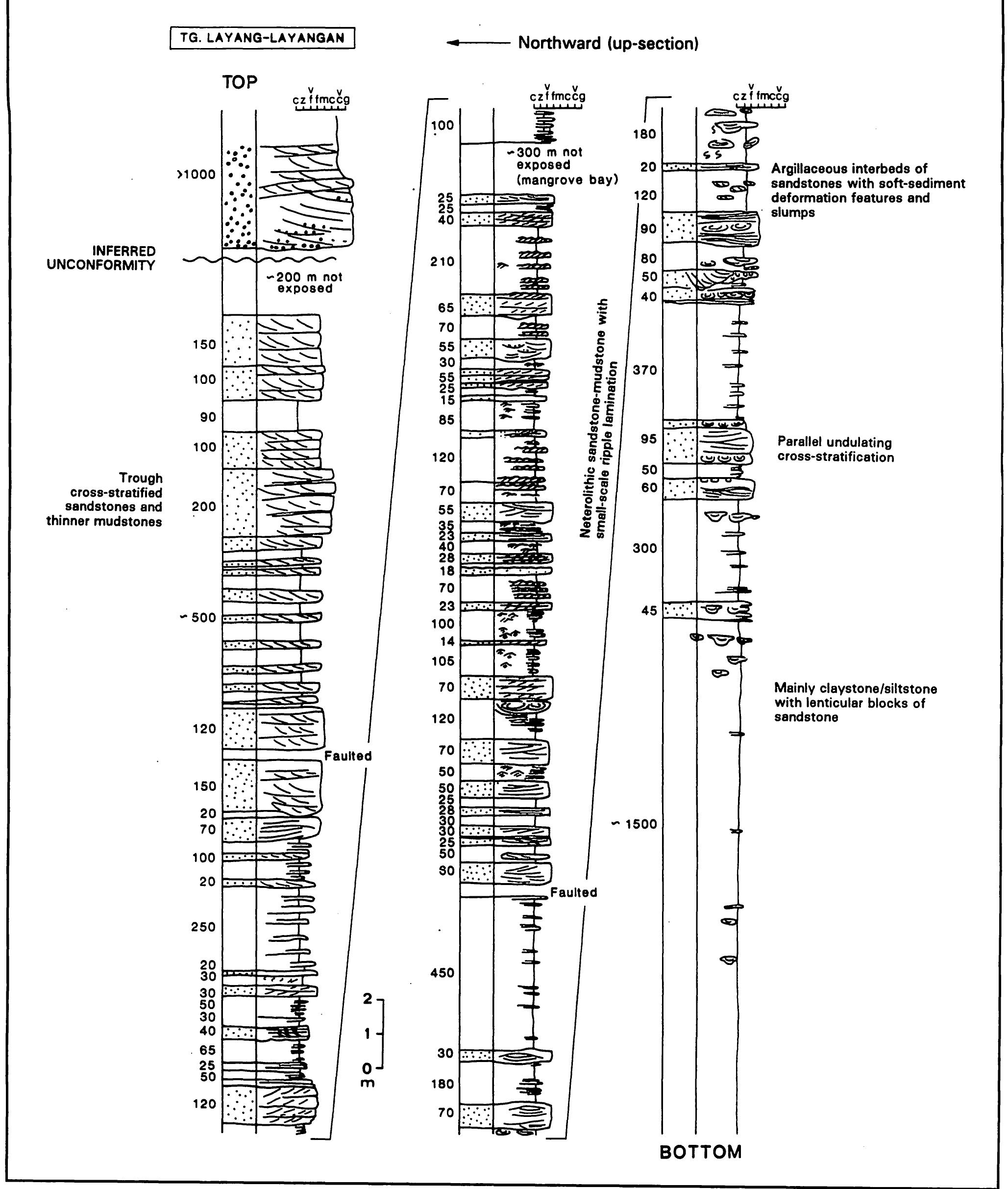Sedimentological log of the layang-layangan units in the