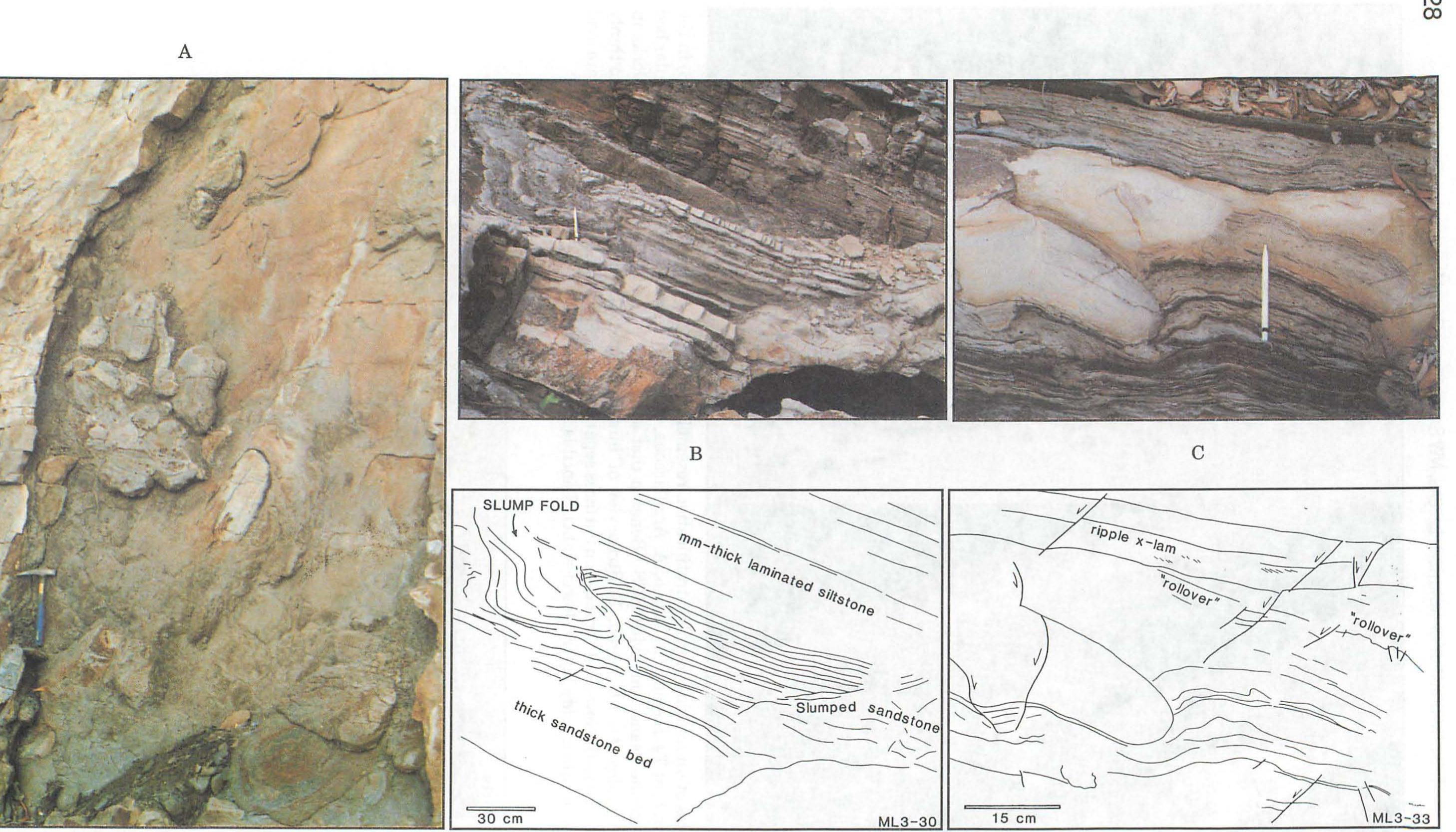 Examples of soft-sediment deformation features in the