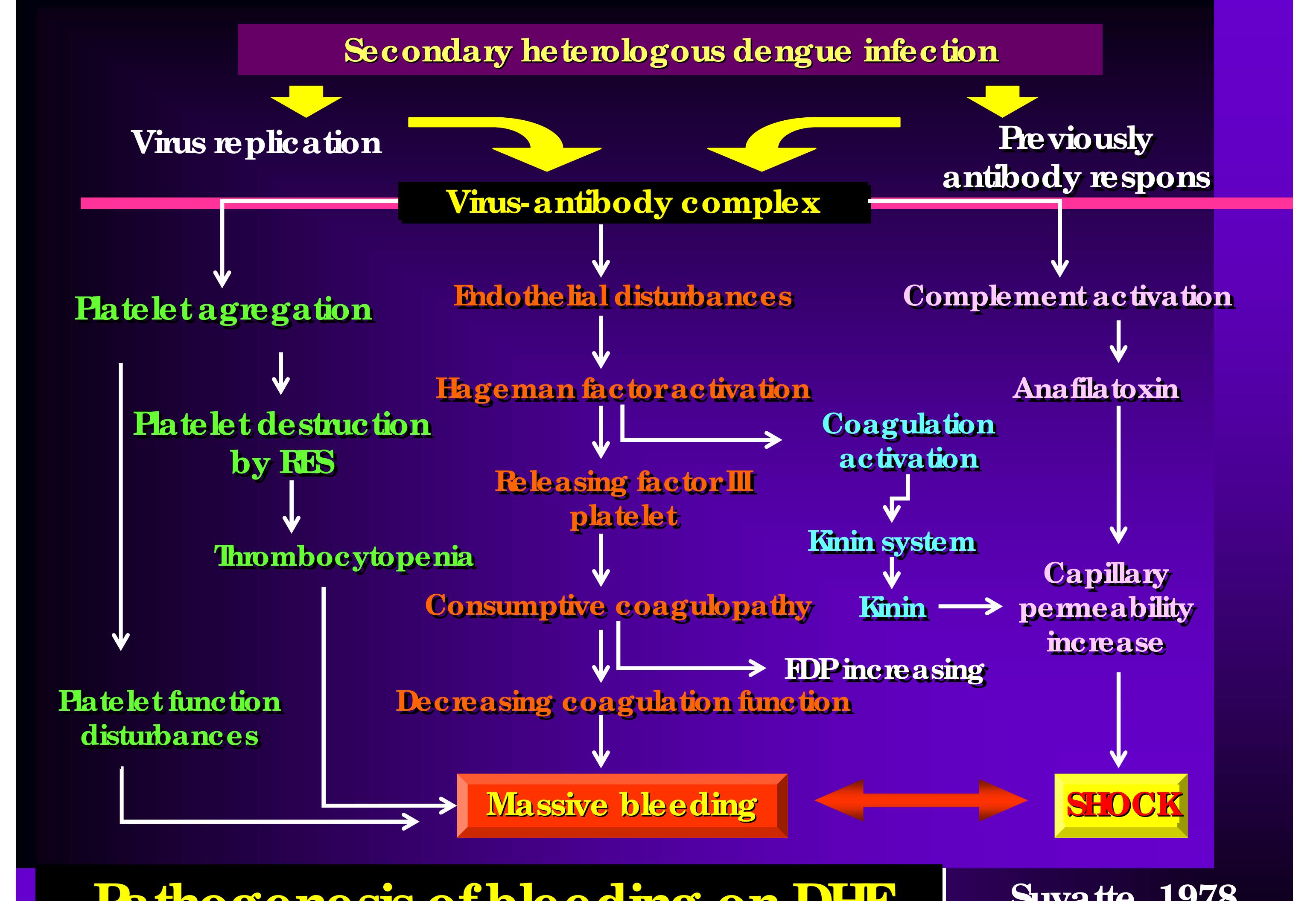 Figure 14 - Pathogenesis and pathophysiology of Dengue