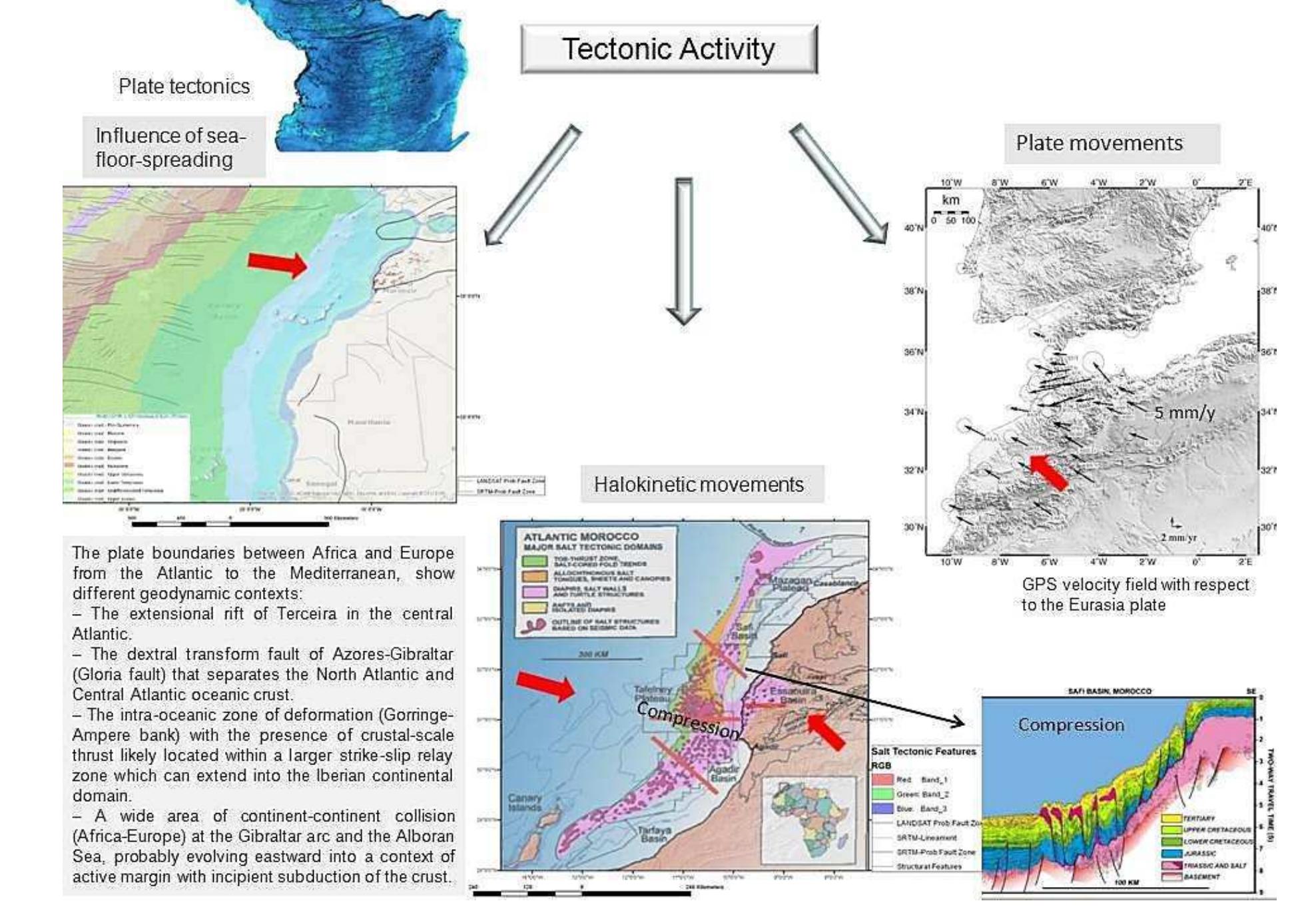 Main tectonic movements plate kinematic models for the