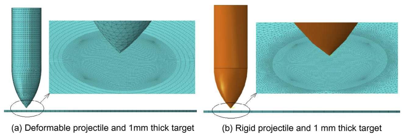 The finite element model of the target and the projectile