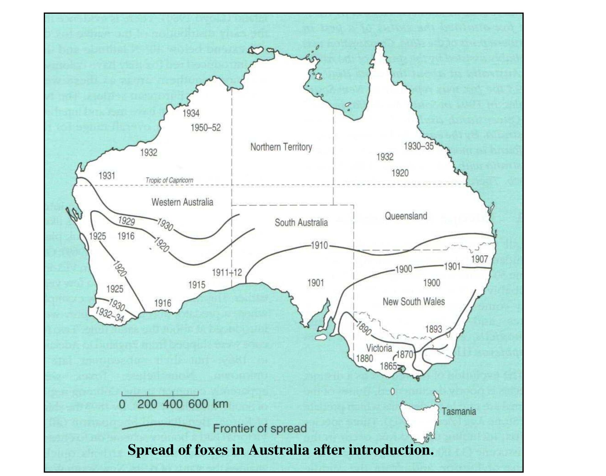 (PDF) A brief history of introduction and impacts of the feral European ...