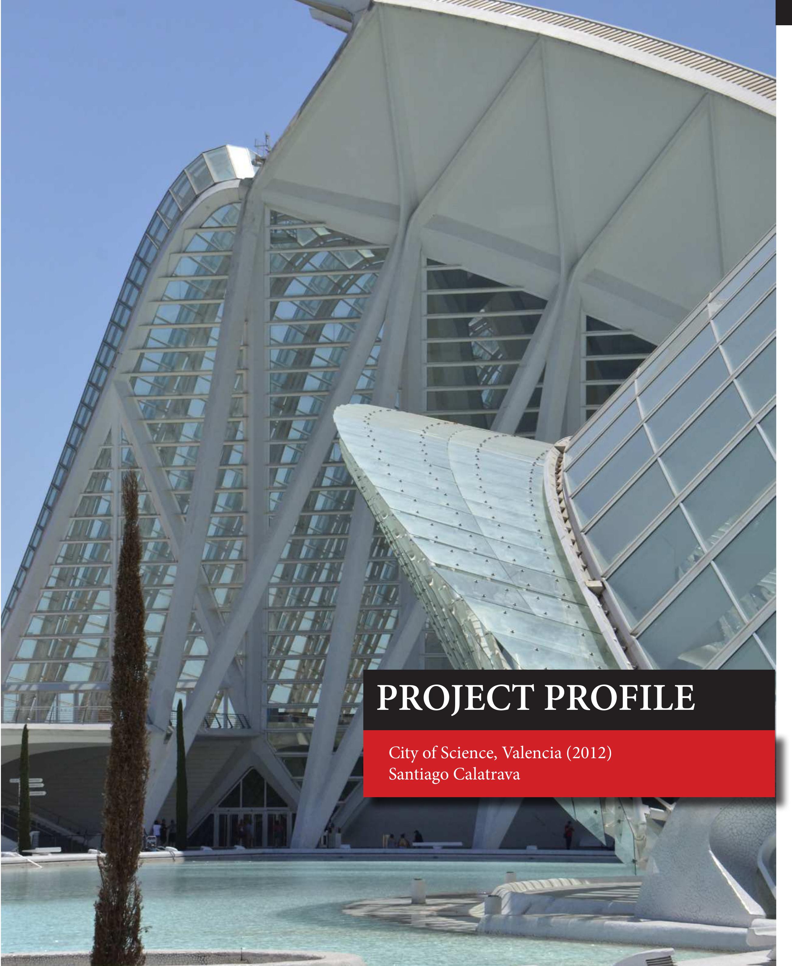 Figure 27 - Complex Steel Structures: Non-Orthogonal