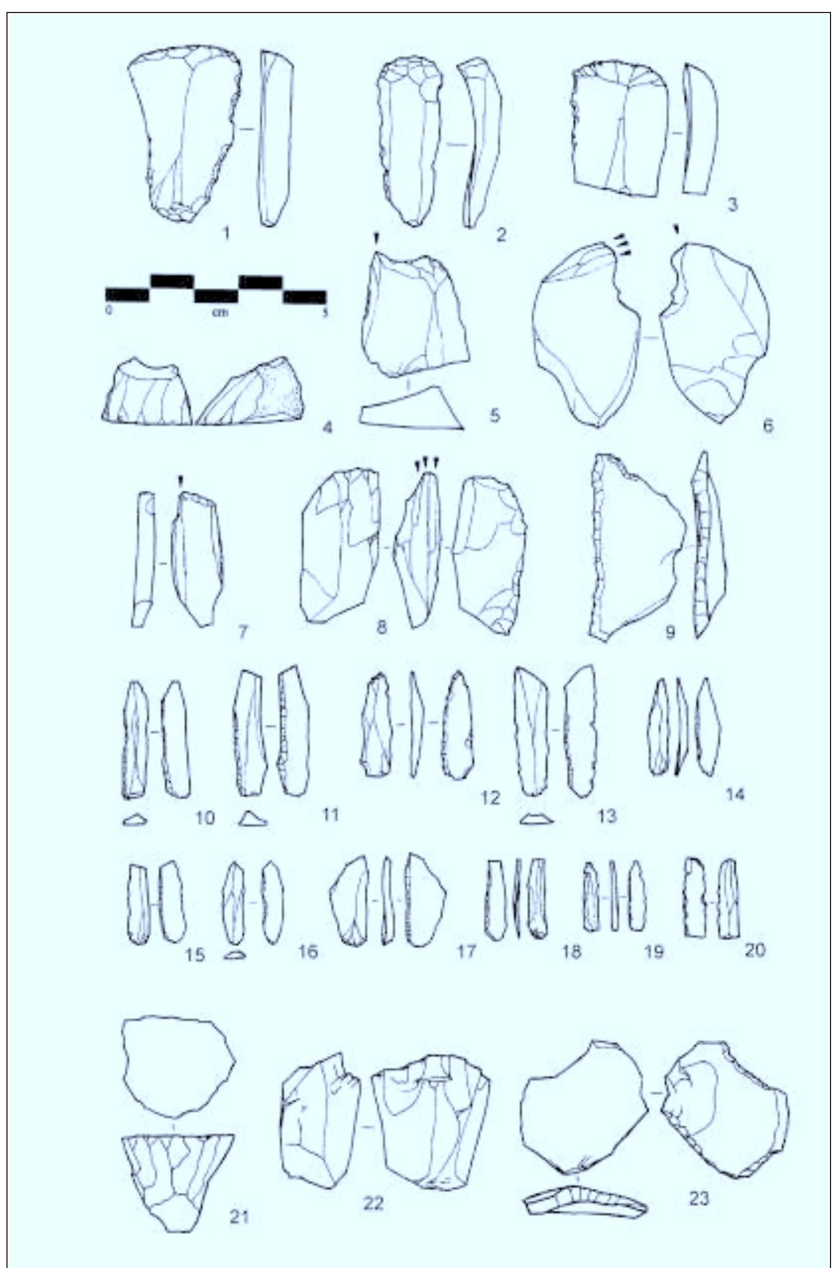 3. artifacts from proto-aurignacian layer (g) at riparo