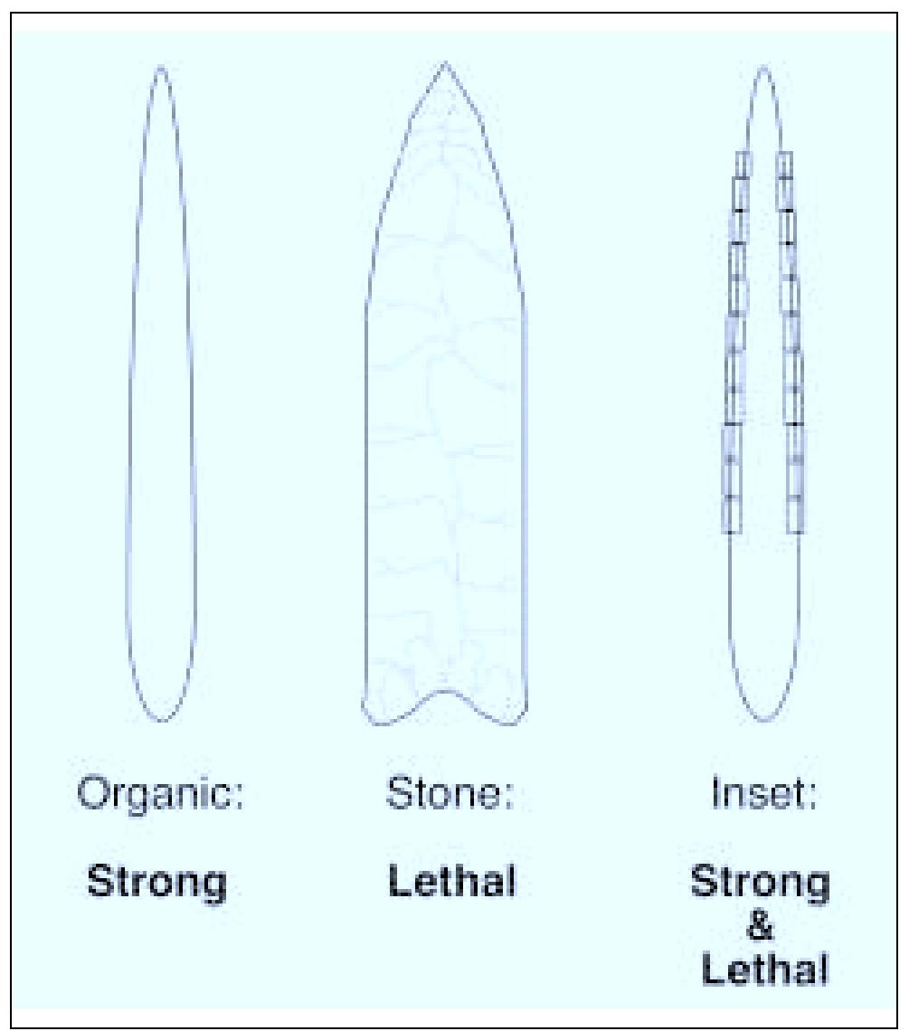 1. organic, stone, and inset organic points compared.