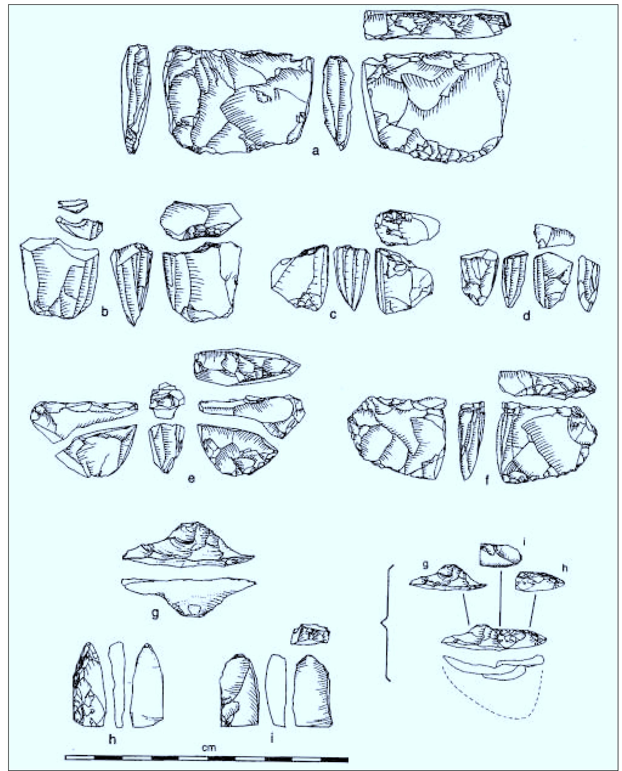 7. denali complex artifacts from the phipps site, tangle