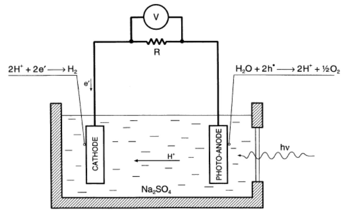 Schematic showing the structure of a pec cell pec cell about
