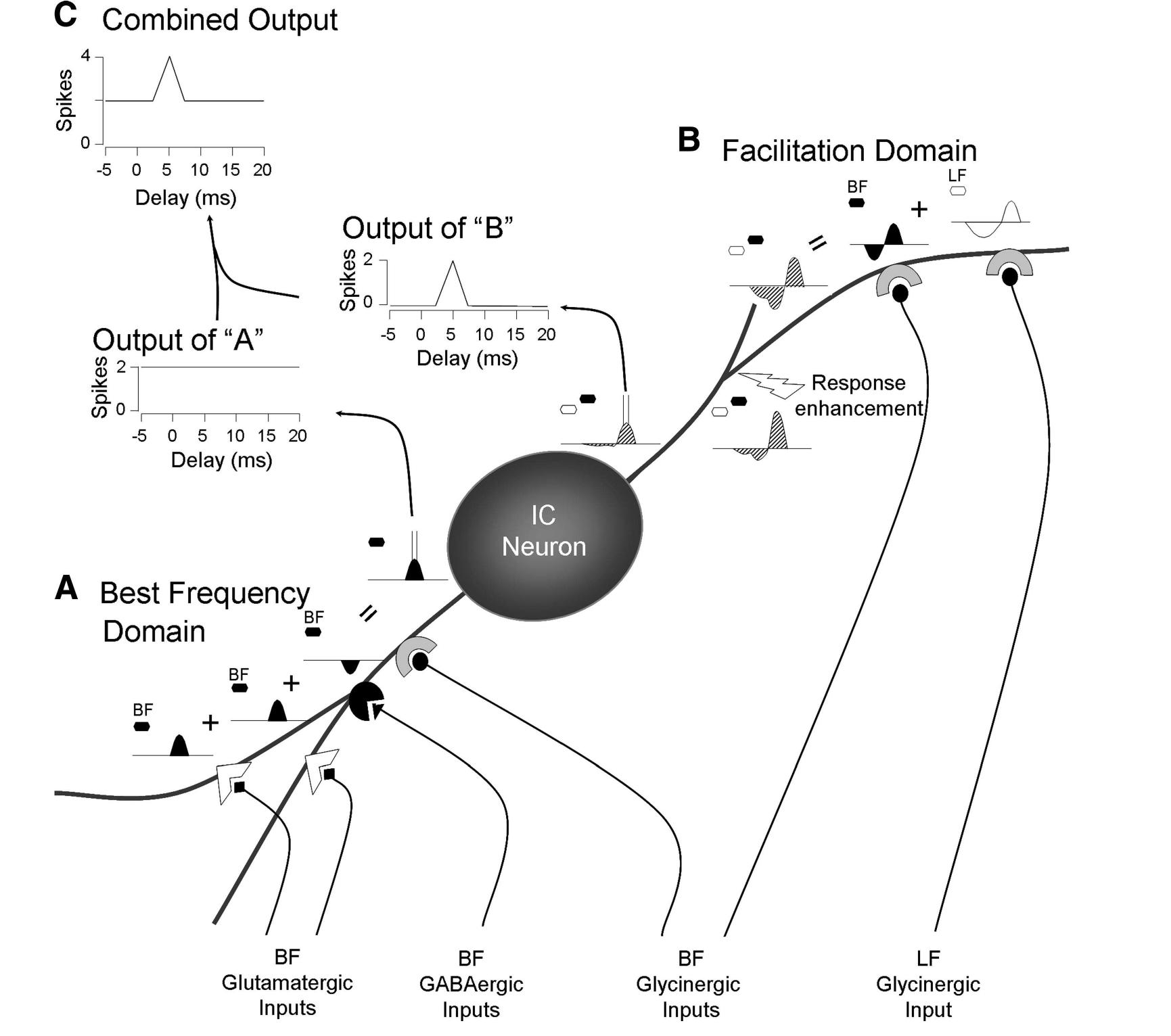 Schematic representation of processing domains for an ic