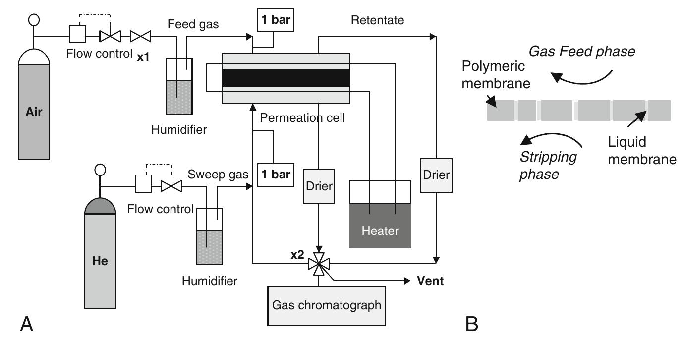 2 schematic drawing of (a) a typical laboratory gas
