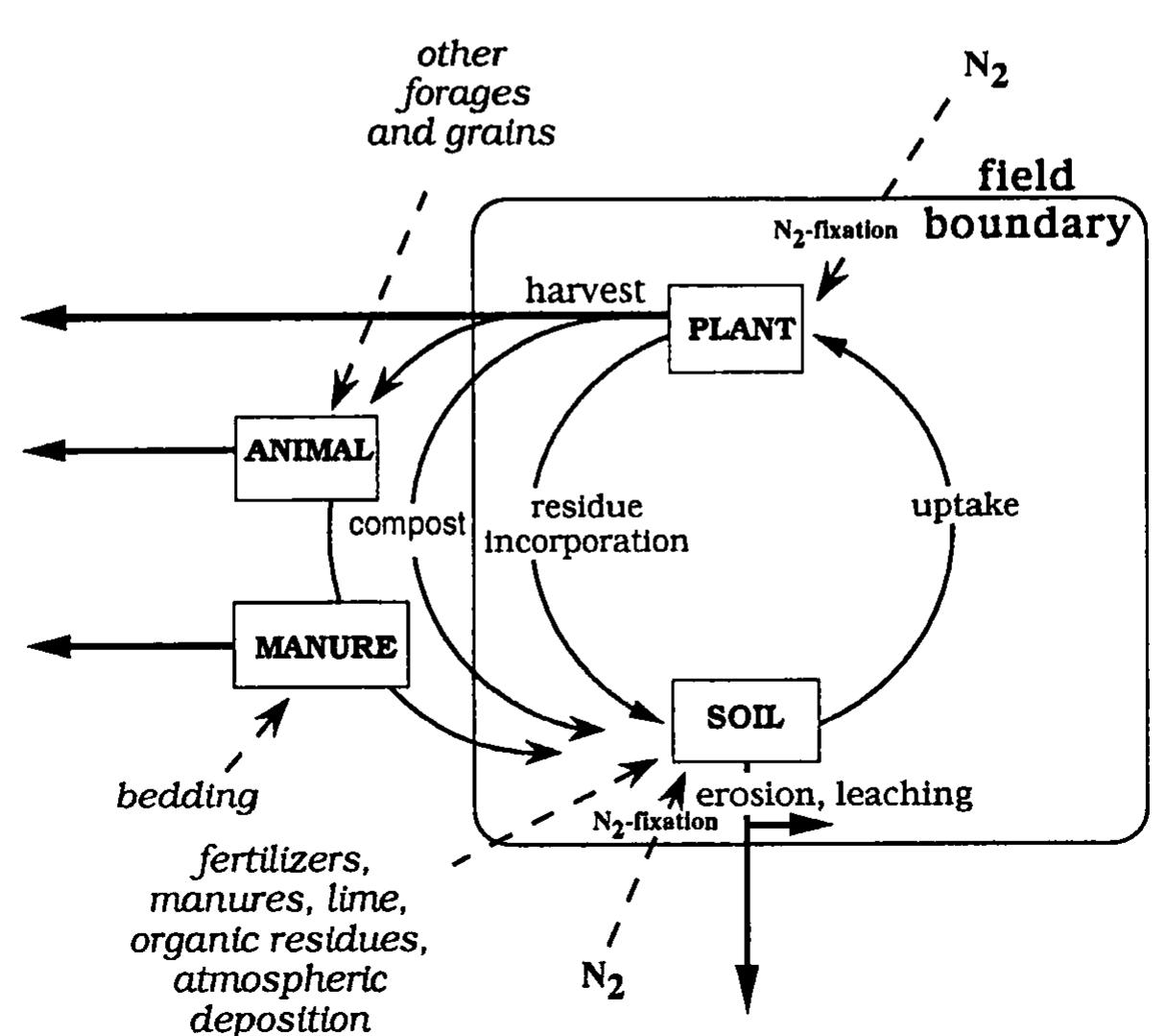 Managed system nutrient cycle and flows with a boundary