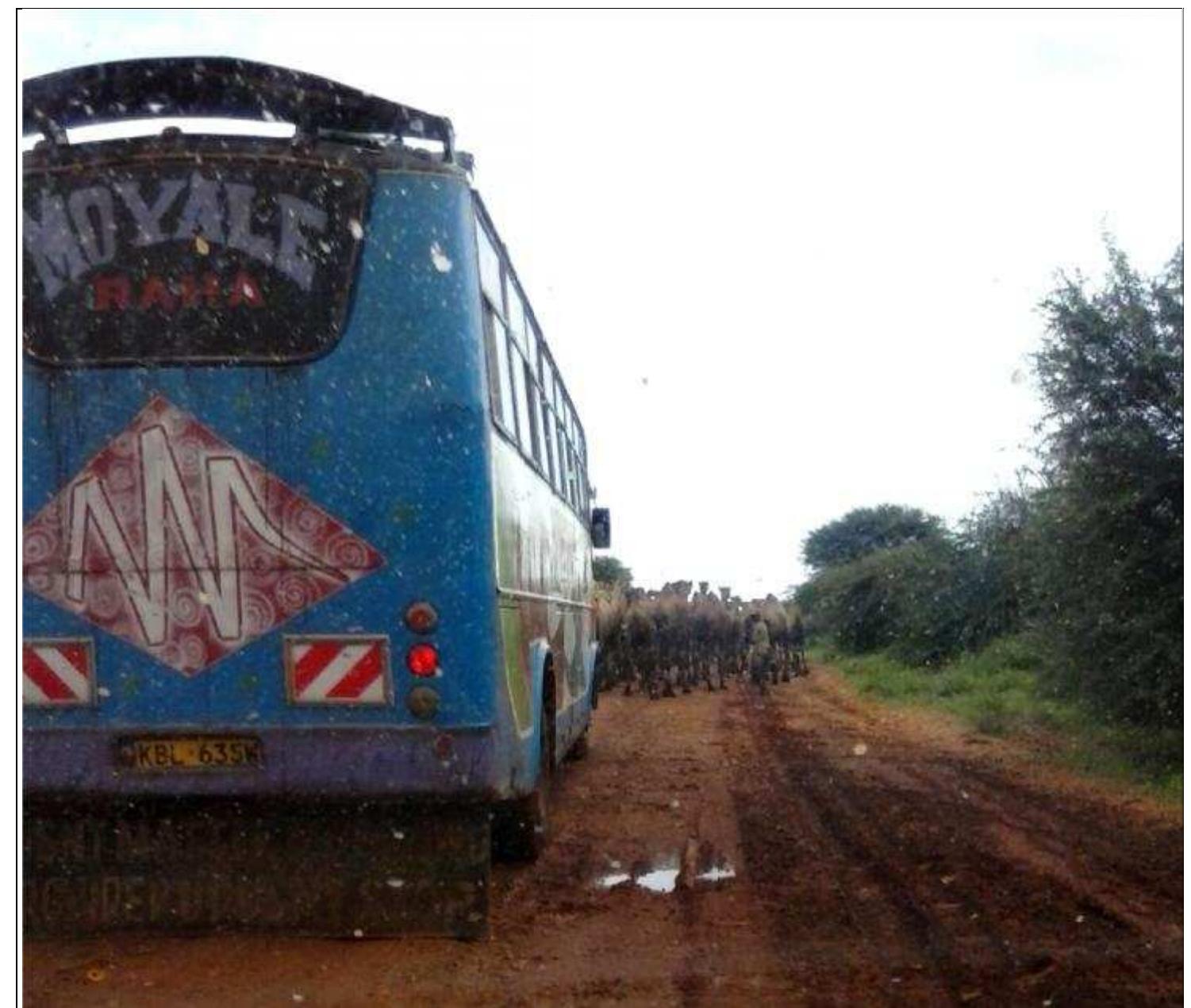 Moyale — marsabit — nairobi commuter transport with camels
