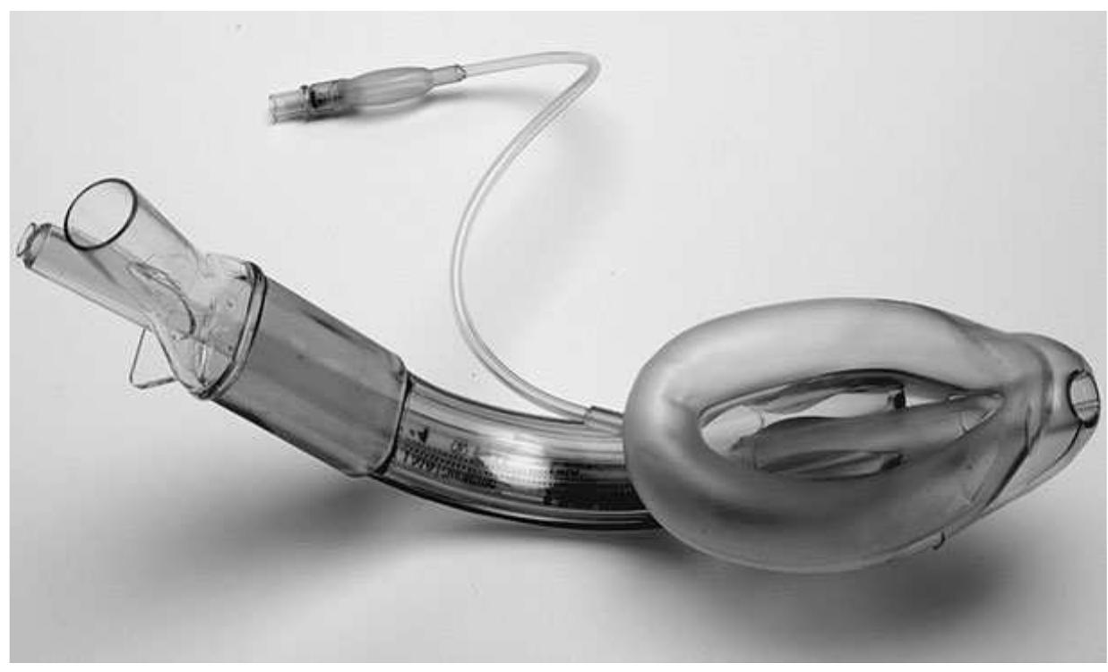 -3. the lma supreme. in general, the largest-sized lma