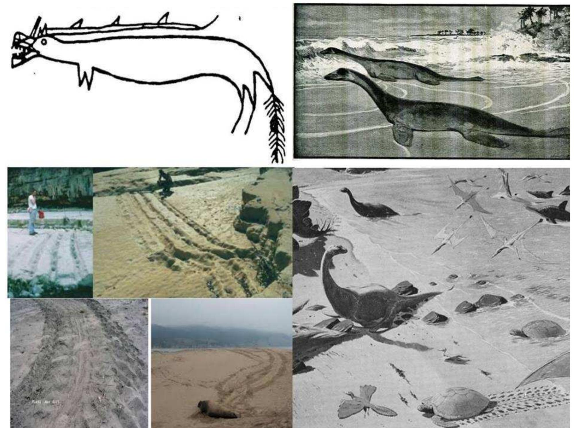 Figure 10 - from The Prehistoric Survivor Paradigm And More