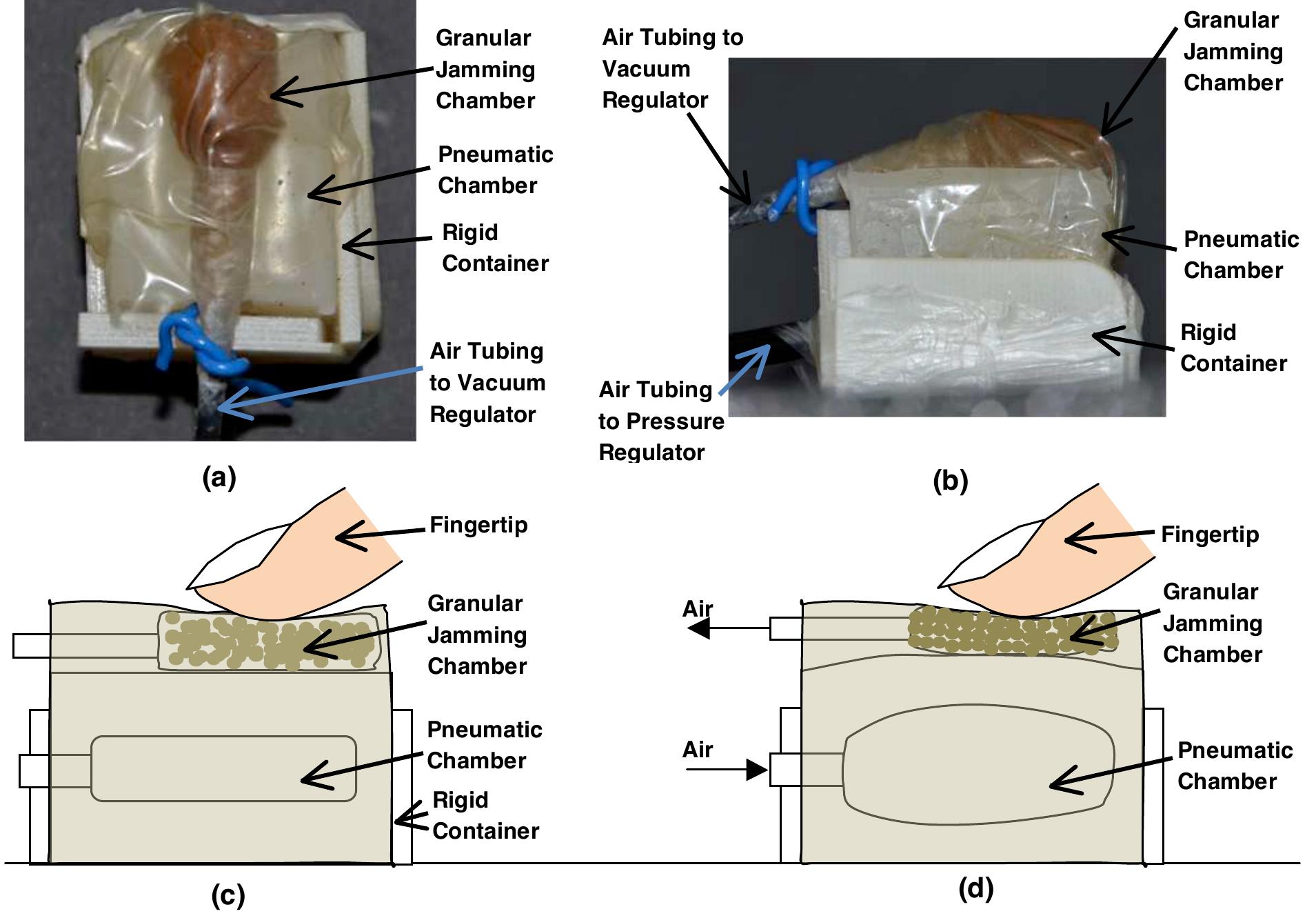 (a) top and (b) side view of a prototype of pneumatic and