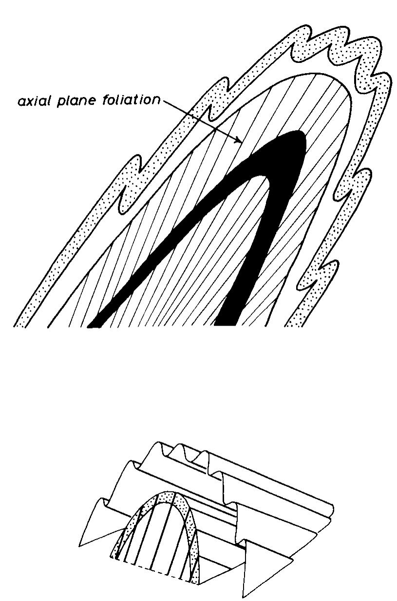 3 the arrangement of small-scale folding and axial plane