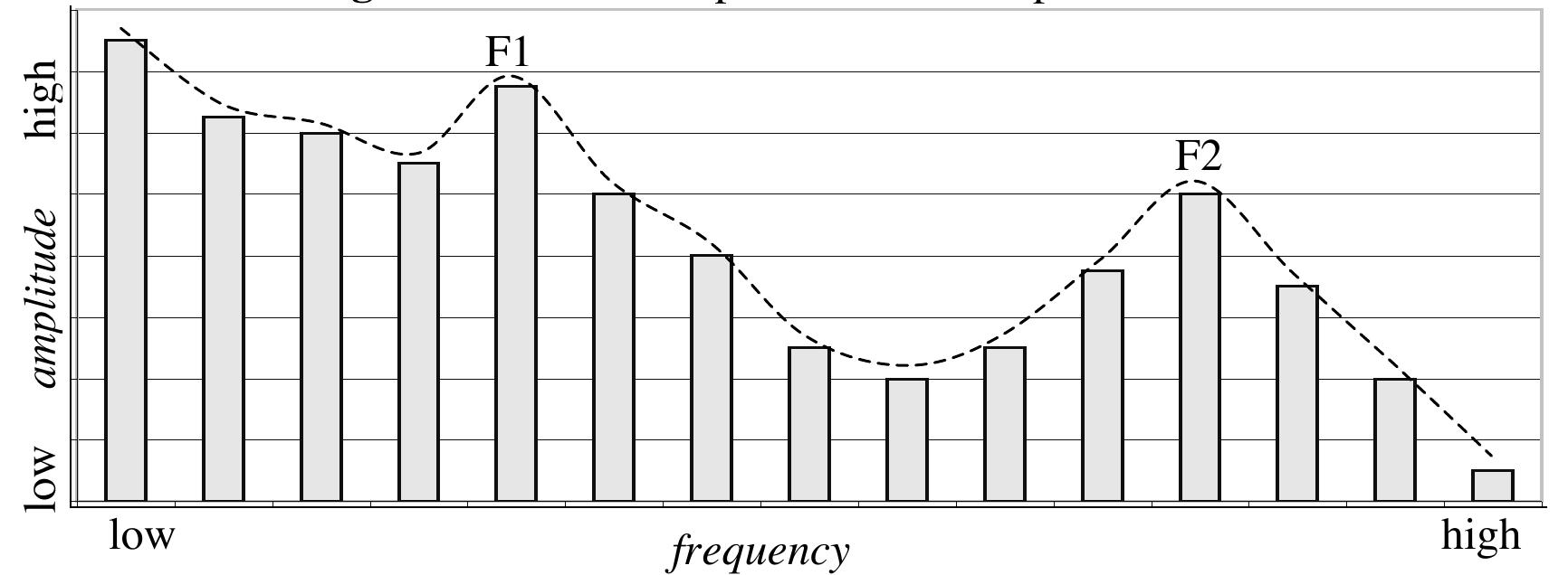 Schematic spectrum of a complex waveform we hear as the