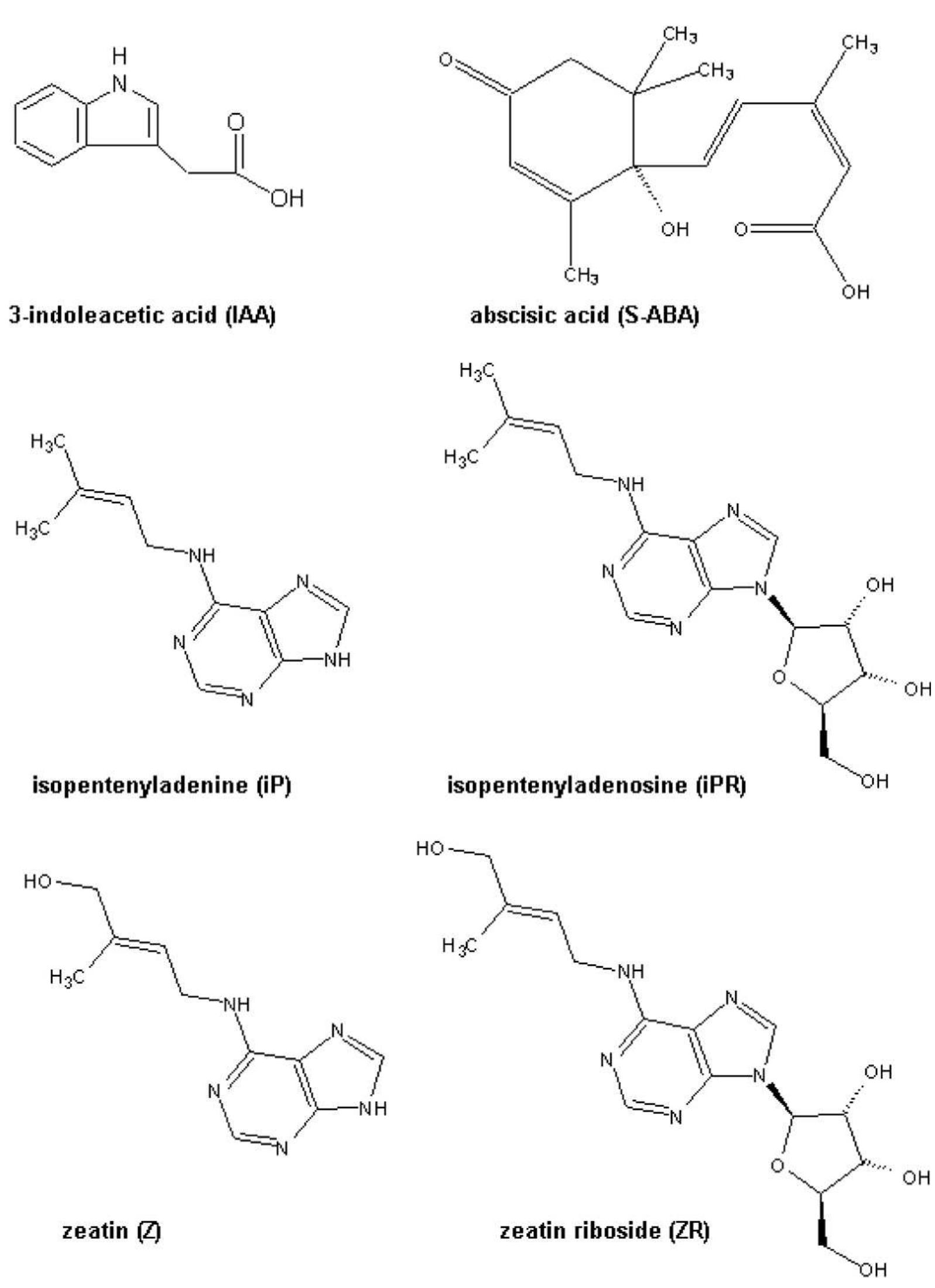 Structure formulas of iaa, s-aba, and some cytokinins.
